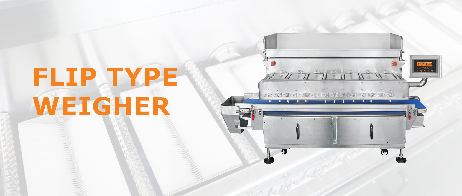 TOUPACK Filp Type Weigher —— Selection of quantitative weighing of ...