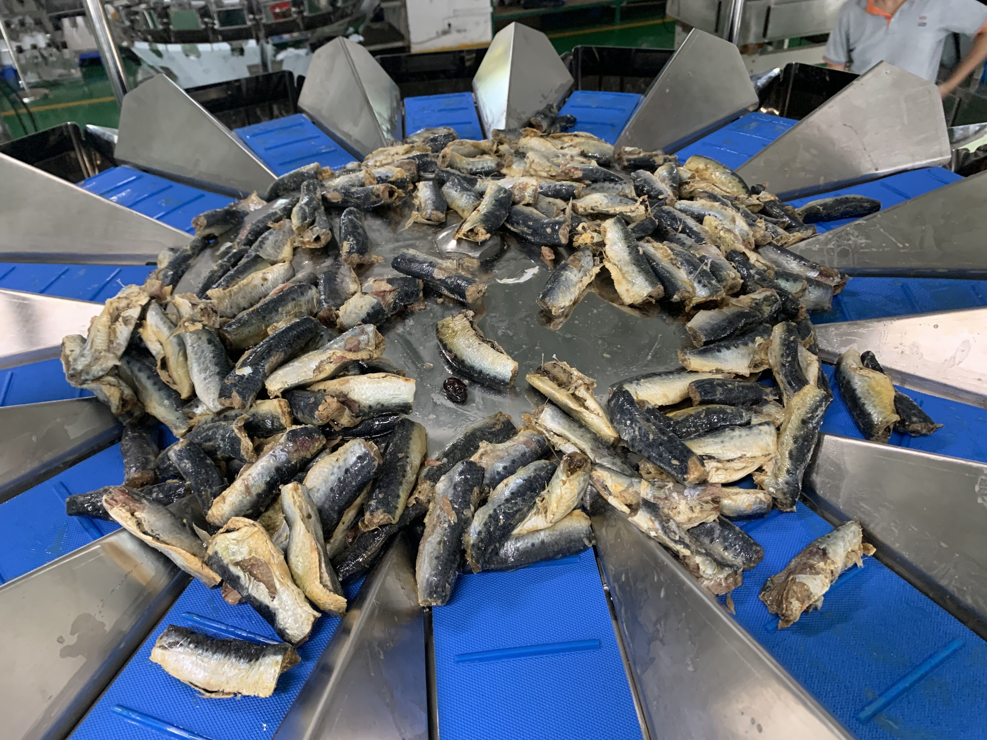 PVC Conveyor Belt Multihead Weigher for Sticky Fish Block 5000g