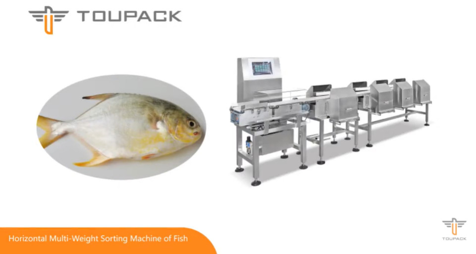 500g Weight Sorting Machine for Fruits & Vegetables