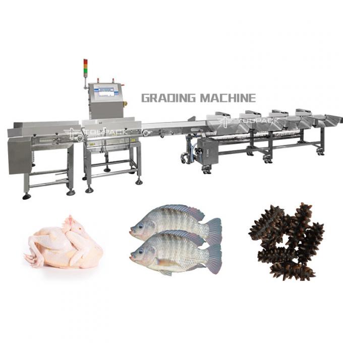 Tilapia Aquaculture Fish Grading Machine 8 Channel Weight Grading Machine